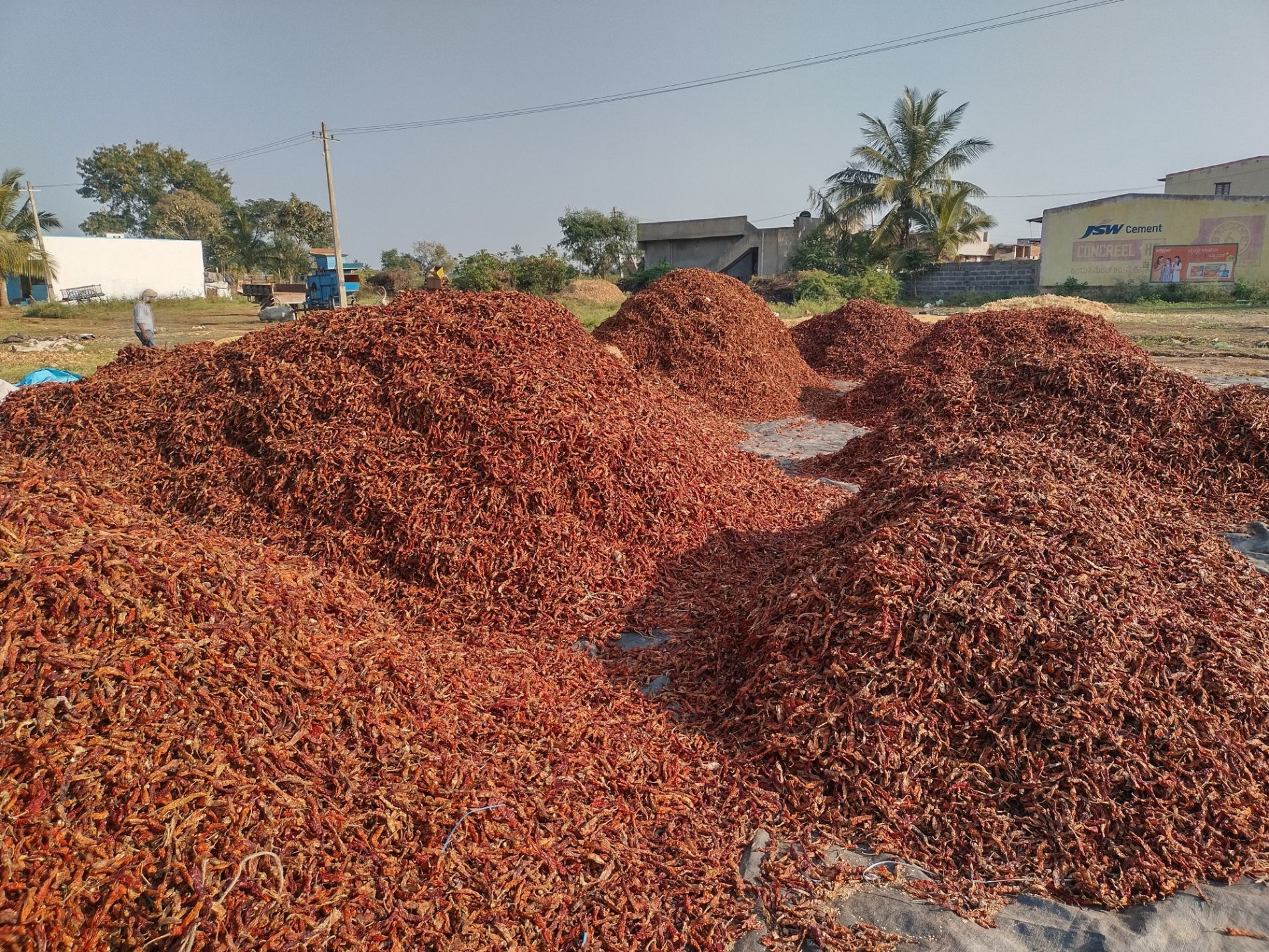 Dry Chili Lab report of Local Byadgi / KDL Second variety – Spice Extra