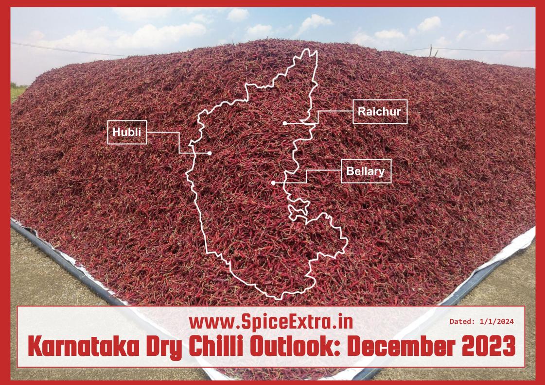 Karnataka Dry Chilli Outlook: December 2023 – Spice Extra