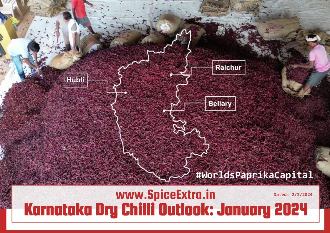 Karnataka Dry Chilli Outlook: January 2024 – Spice Extra