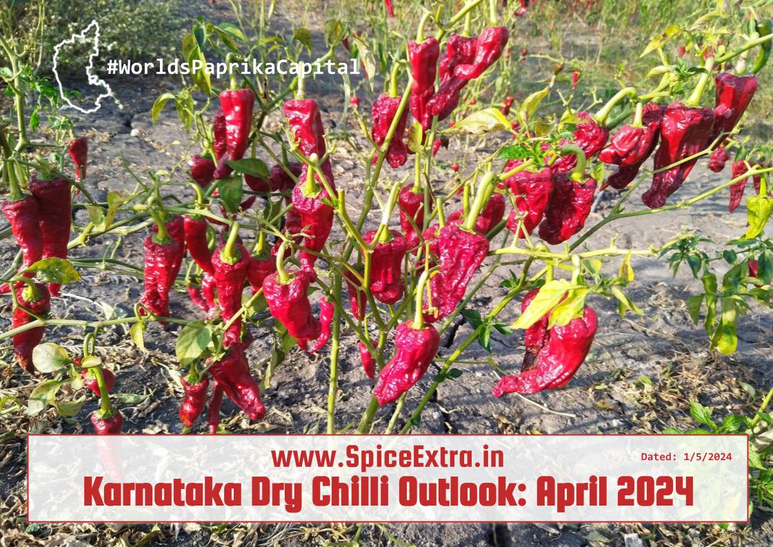 Blogs – Spice Extra